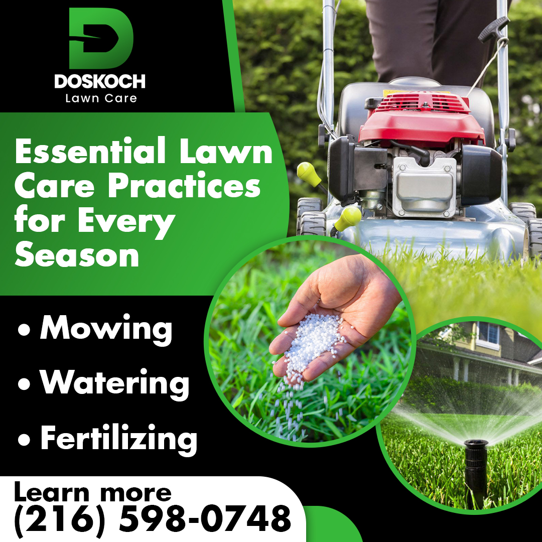 How to Maintain a Perfect Lawn: Expert Tips from a Landscaping ...
